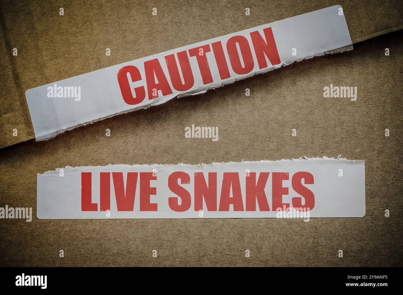 An Opened Cardboard Shipping Box Labelled 'Caution Lives Snakes' Stock ...