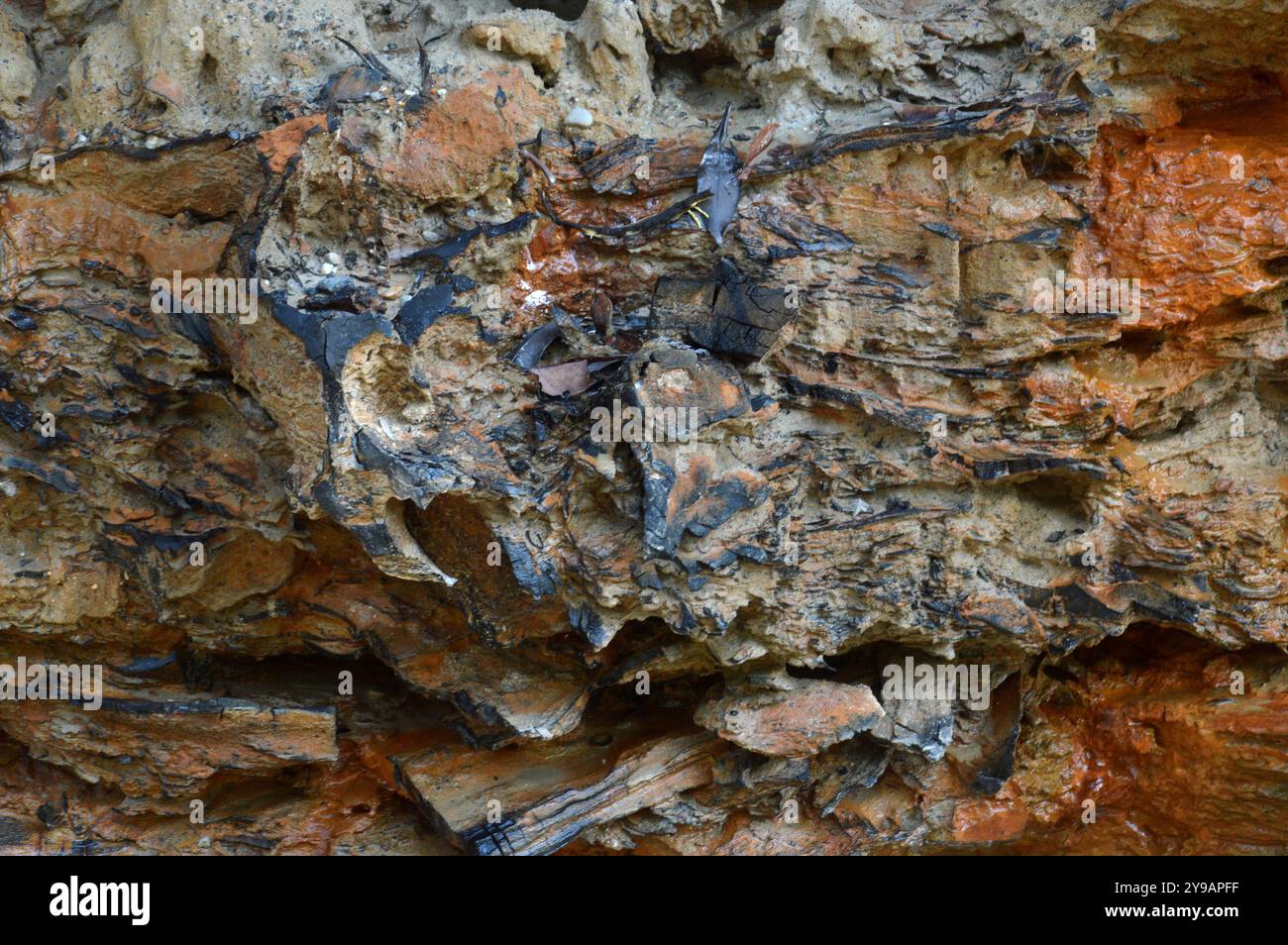 texture of the soil layer containing coal Stock Photo - Alamy