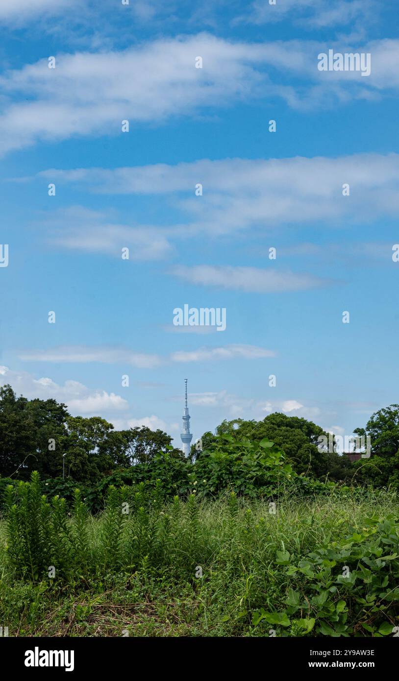 Tokyo Skytree, vertical picture of the top of Tokyo Skytree in distance ...
