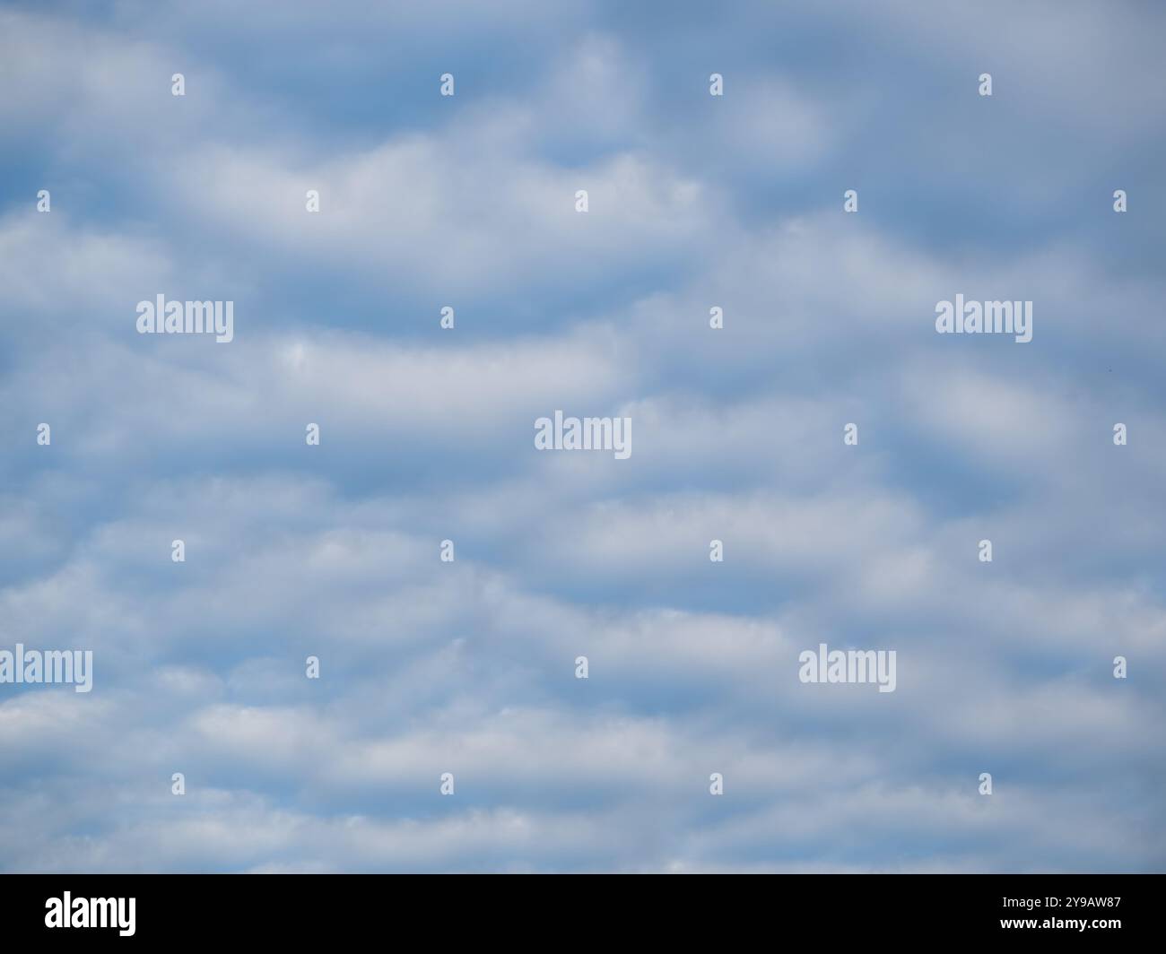 Beautiful blue sky with unusual white Altocumulus undulatus clouds, extraordinary cloud ...