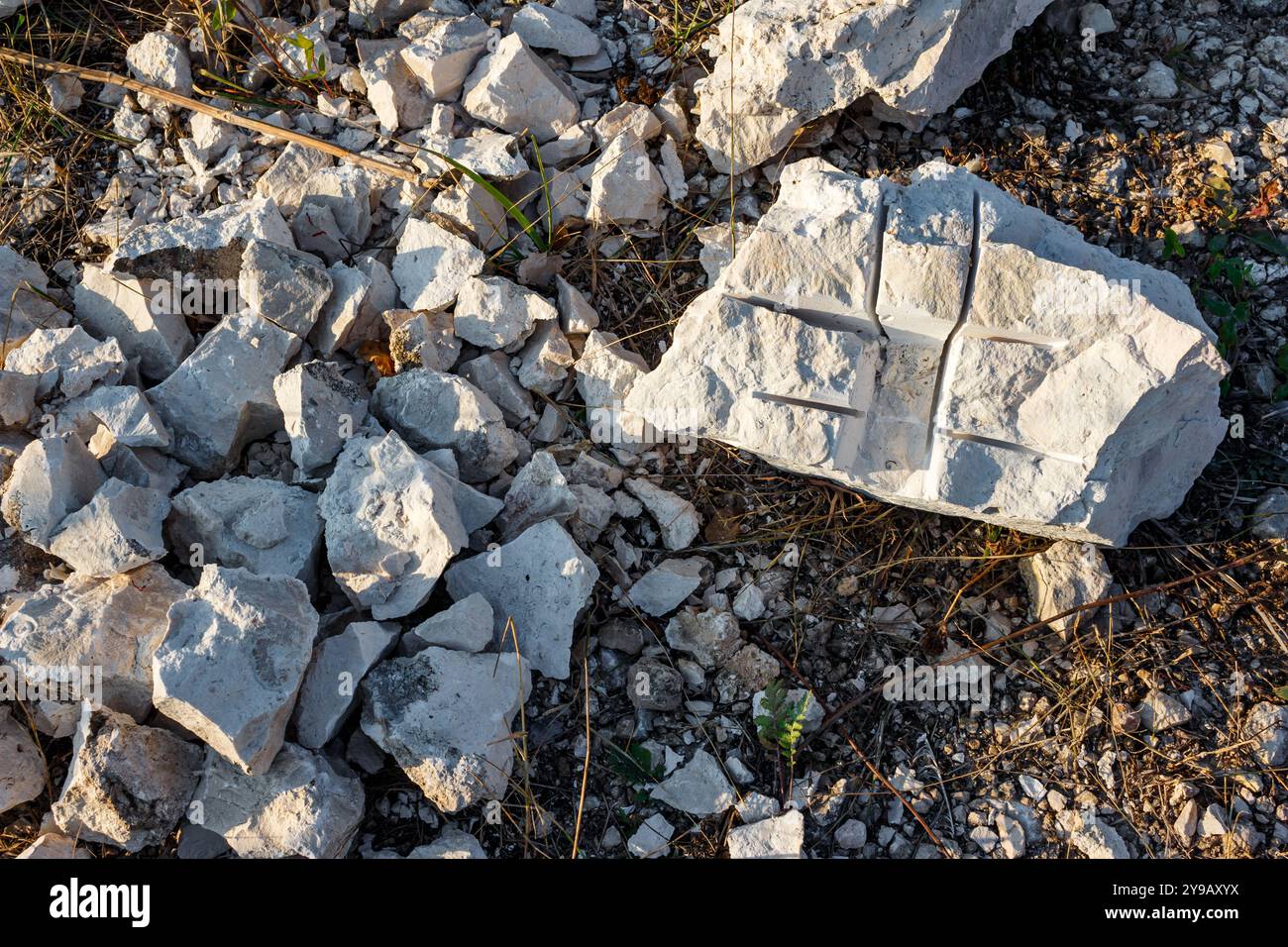 Collecting paleontological samples in a limestone quarry using diamond ...