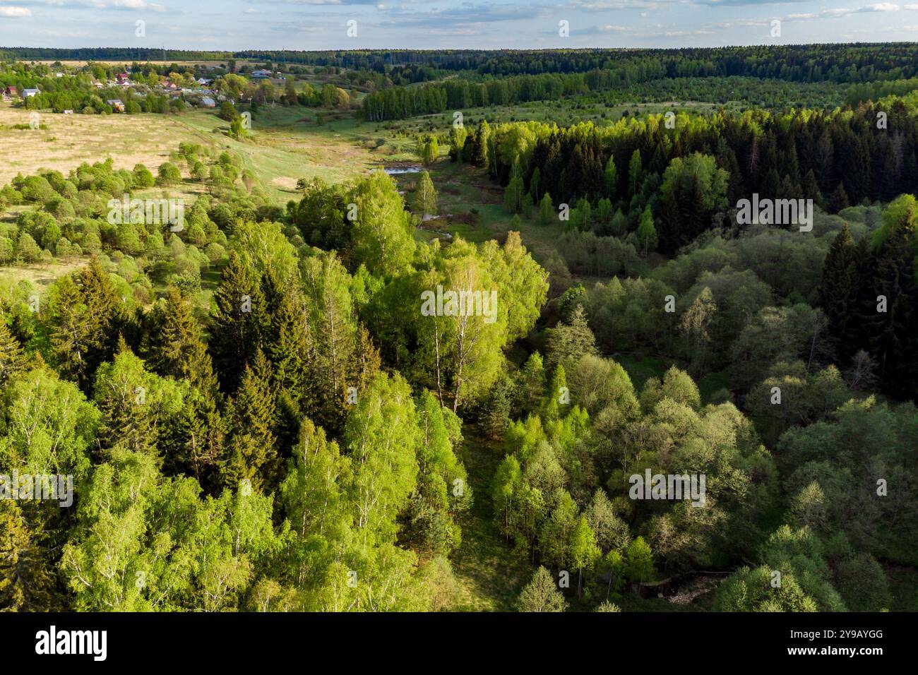 Natural landscape with mixed forest areas from the air Stock Photo - Alamy