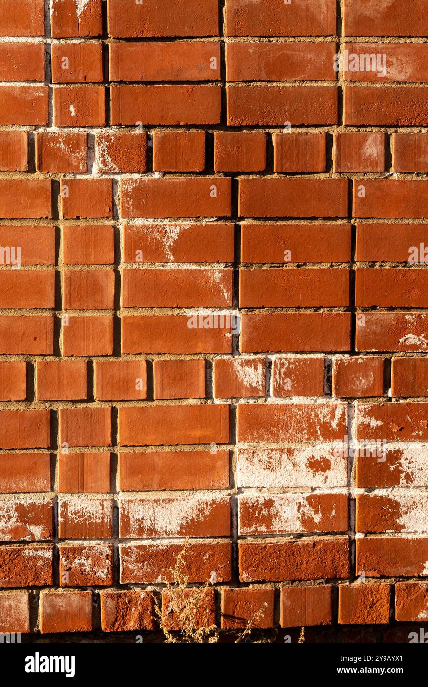 Salt buildup on brickwork Stock Photo - Alamy