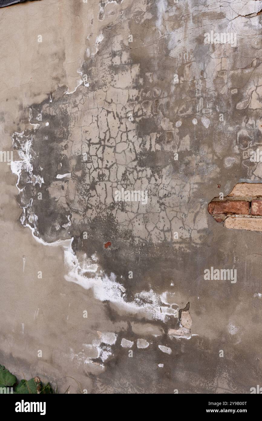 Salt buildup on brickwork Stock Photo - Alamy