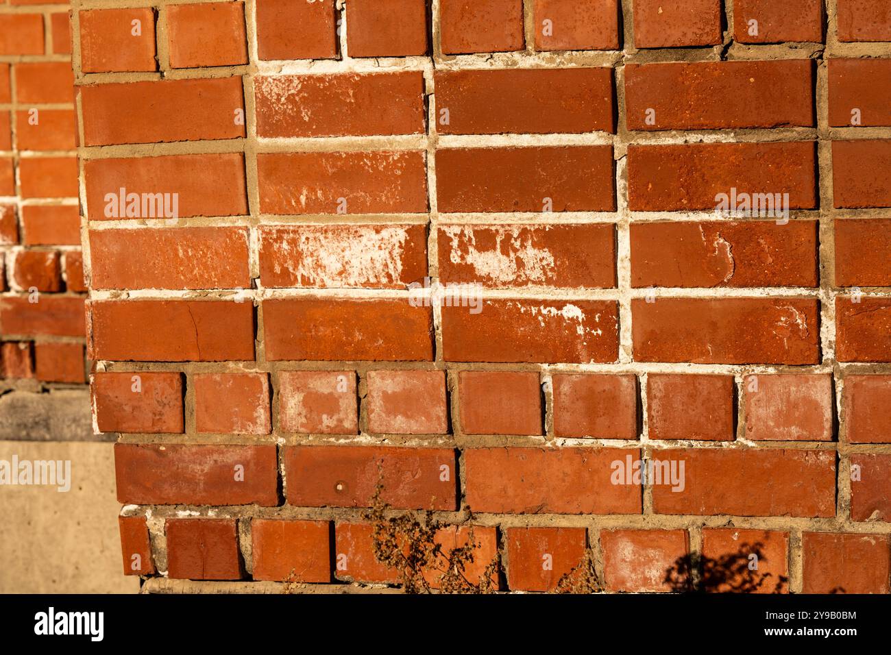 Salt buildup on brickwork Stock Photo - Alamy