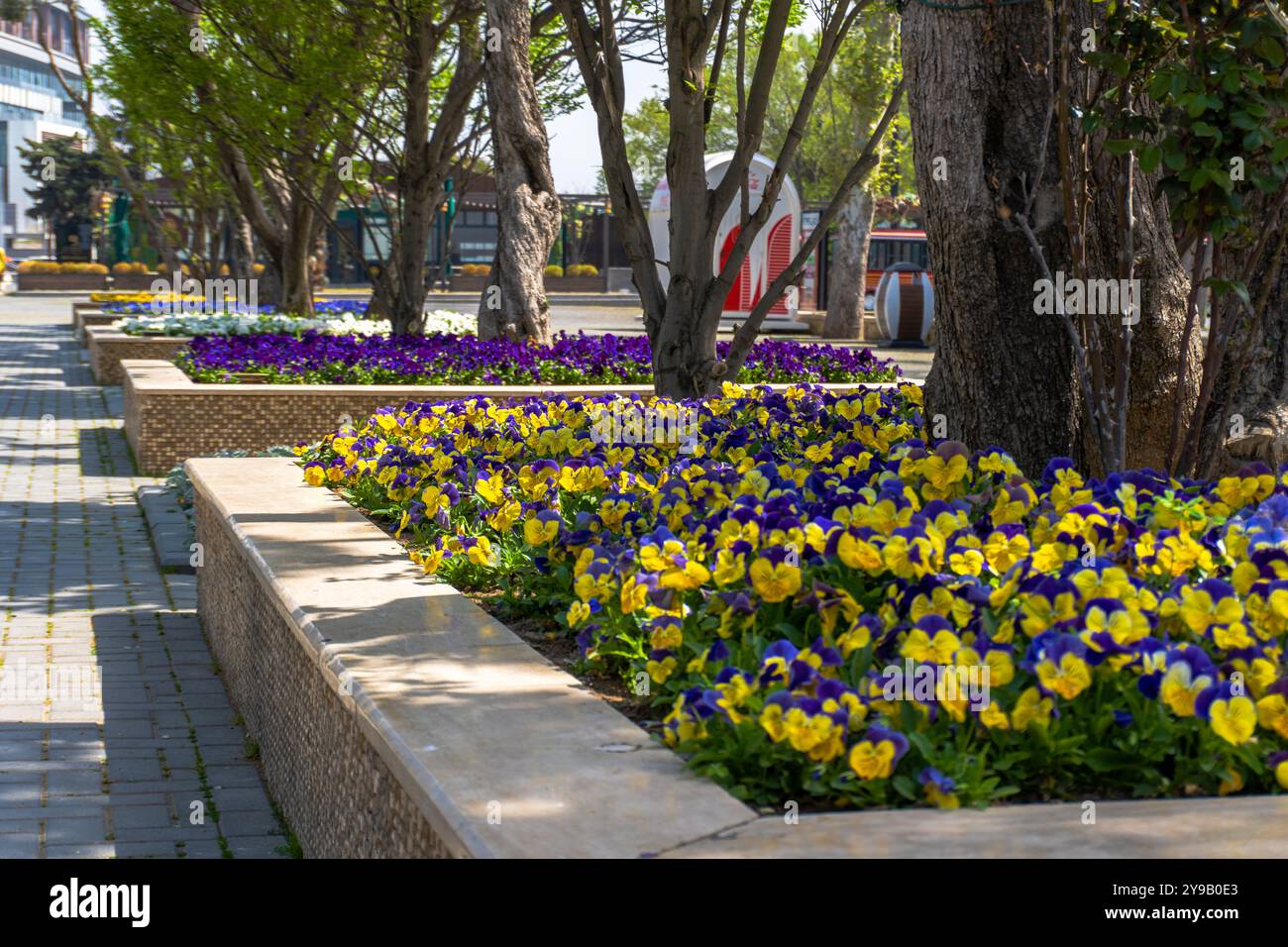 Welcome, Spring! Baku, Azerbaijan Stock Photo - Alamy