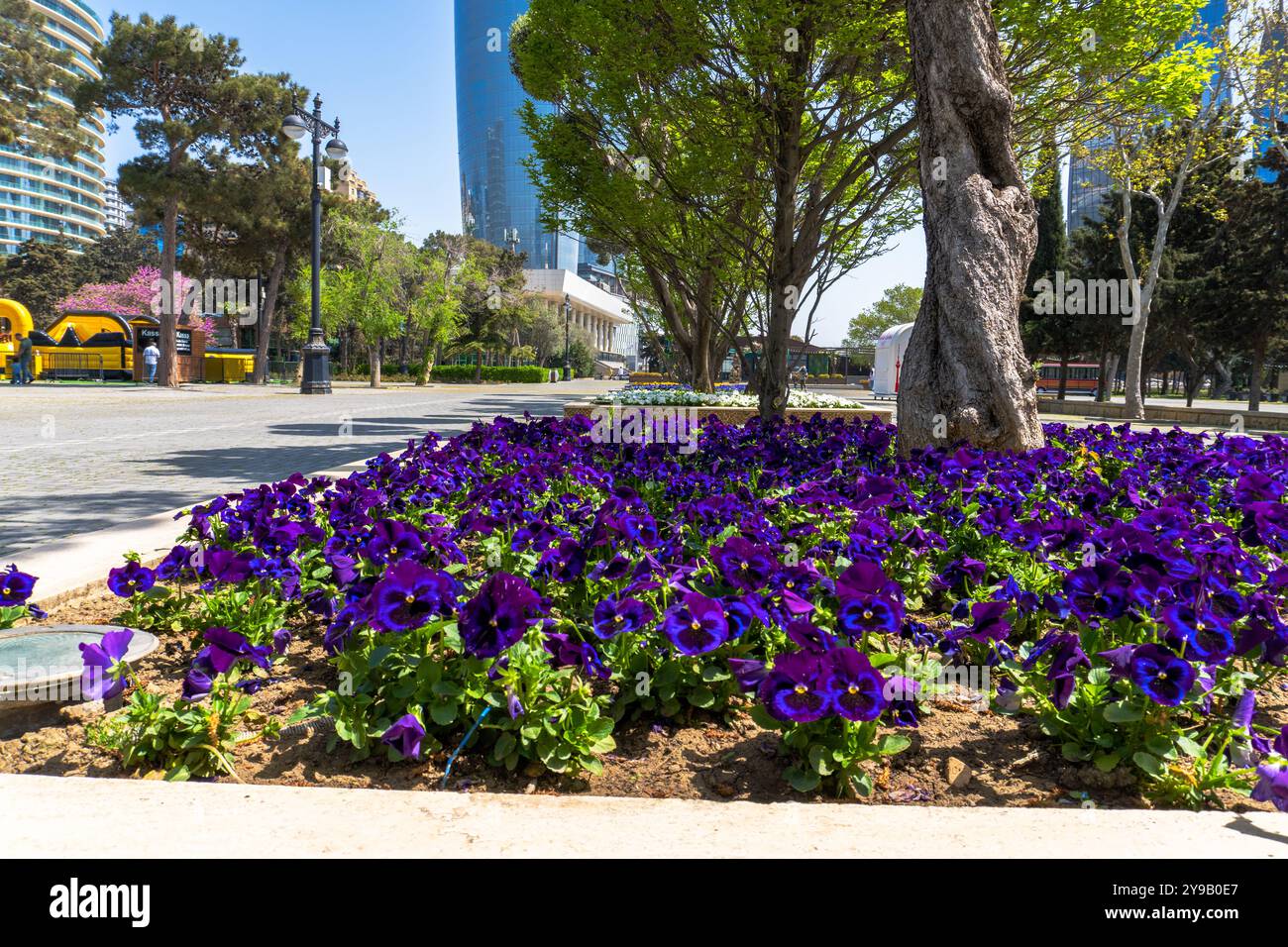 Welcome, Spring! Baku, Azerbaijan Stock Photo - Alamy