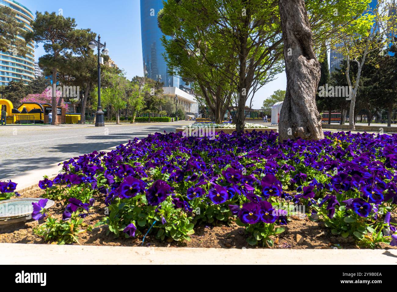 Welcome, Spring! Baku, Azerbaijan Stock Photo - Alamy