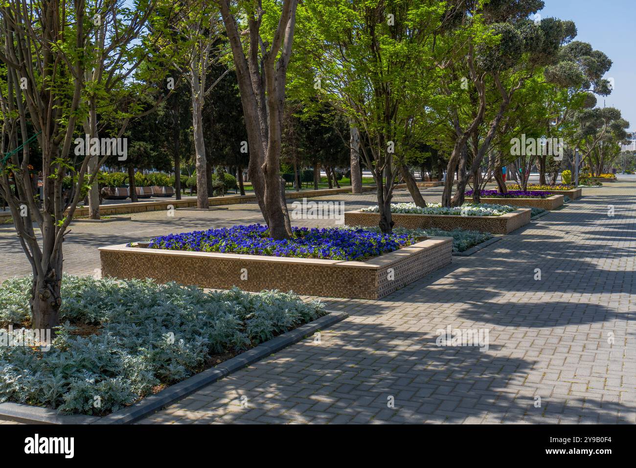 Welcome, Spring! Baku, Azerbaijan Stock Photo - Alamy