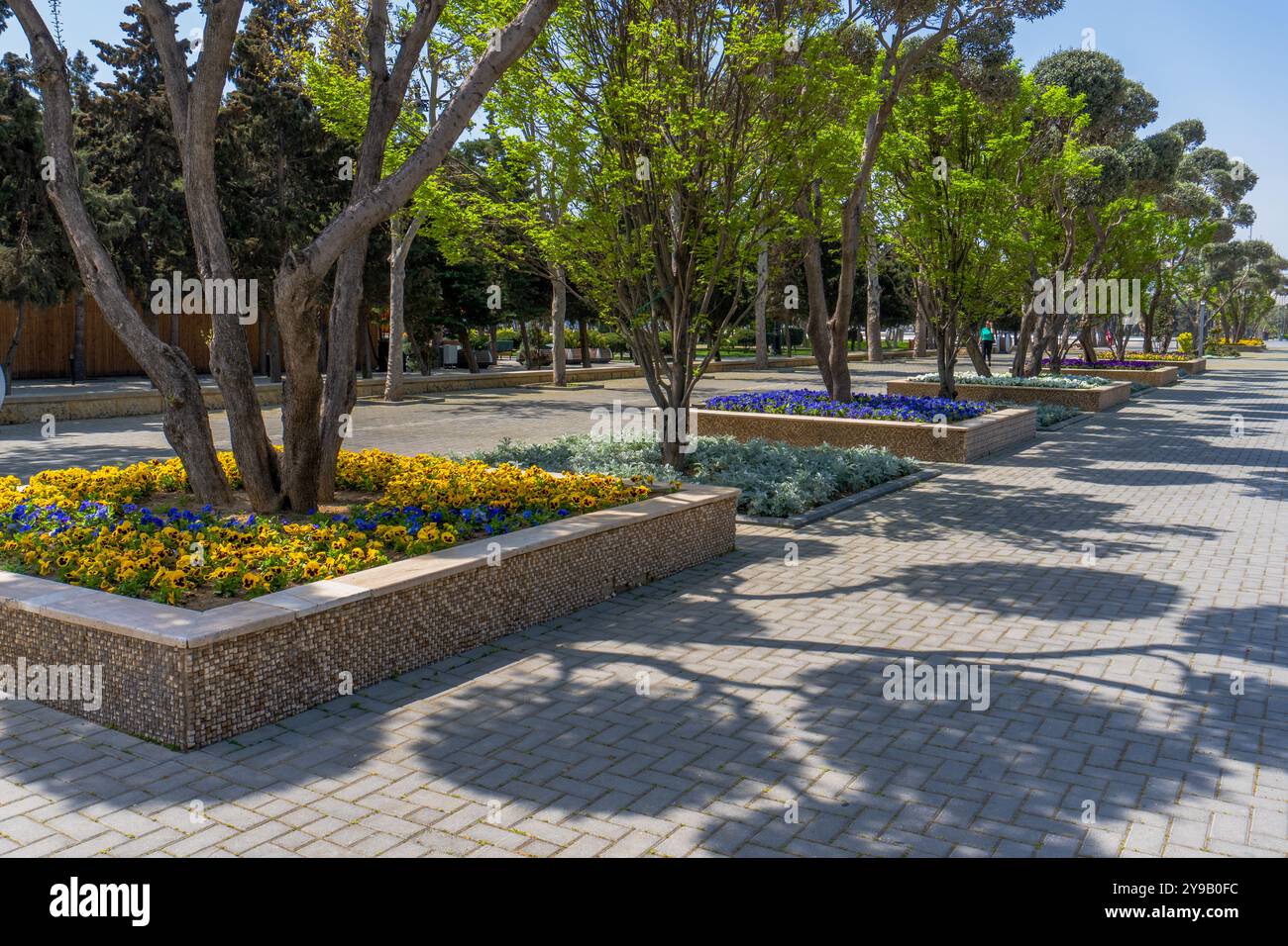 Welcome, Spring! Baku, Azerbaijan Stock Photo - Alamy