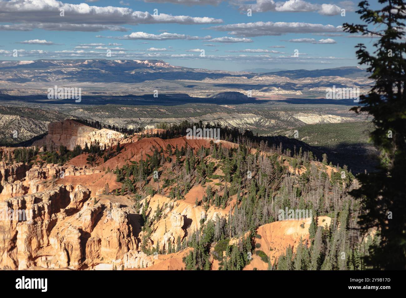 Bristlecone loop trail bryce canyon hi-res stock photography and images ...