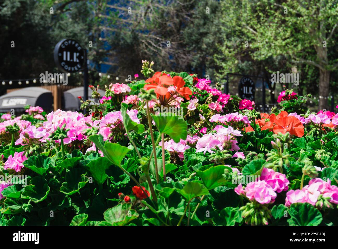Welcome, Spring! Baku, Azerbaijan Stock Photo - Alamy