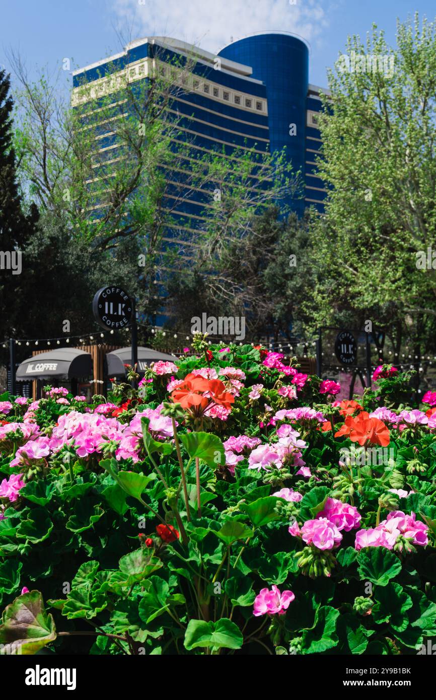 Welcome, Spring! Baku, Azerbaijan Stock Photo - Alamy