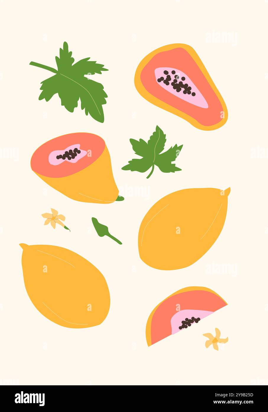 Food labels collage hi-res stock photography and images - Alamy