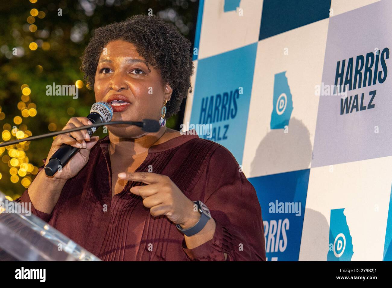 Voting in georgia stacey hi-res stock photography and images - Alamy