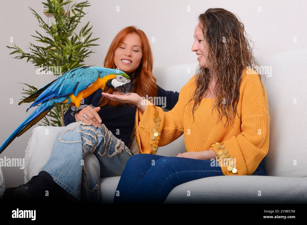 sisters feeding their macaw Stock Photo - Alamy
