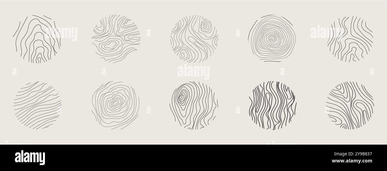 Golden thin line tree ring collection. Elegant gold wooden section ...