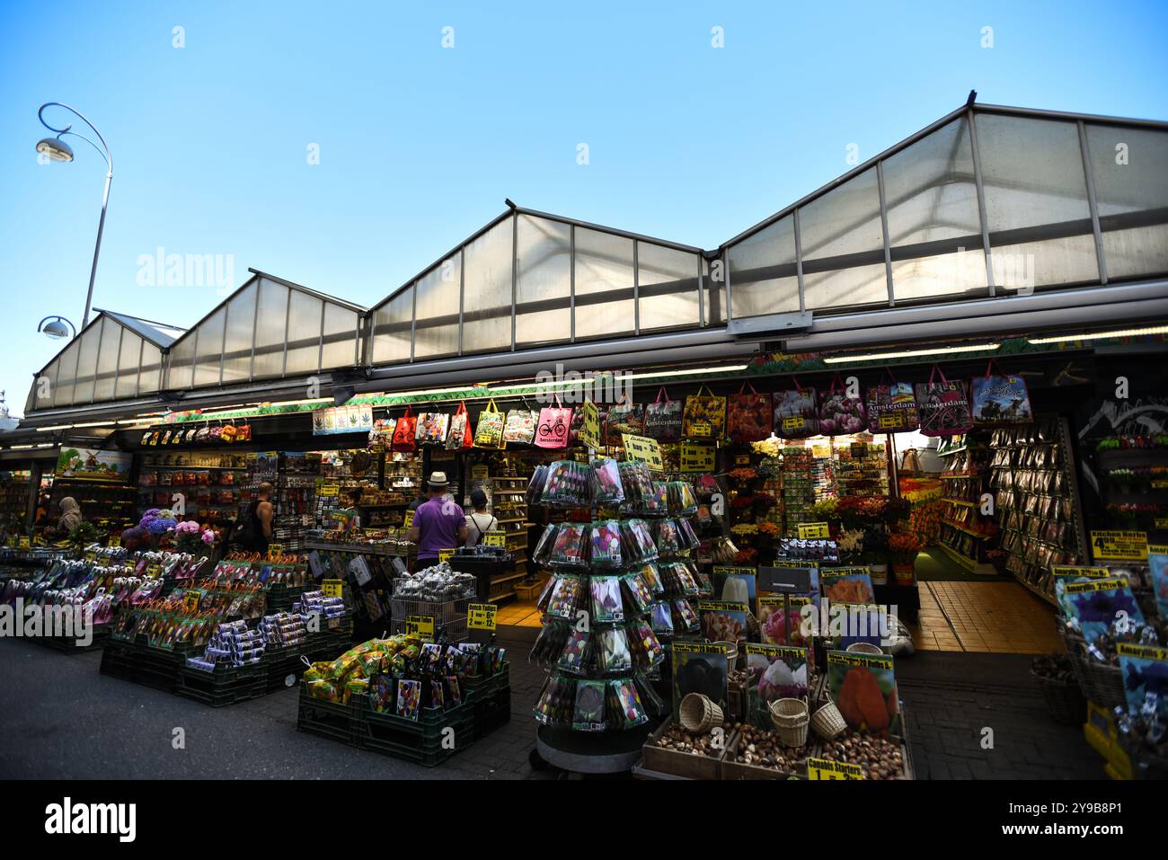 Amsterdam Flower Market with Tulip Bulbs on Display - Netherlands Stock ...