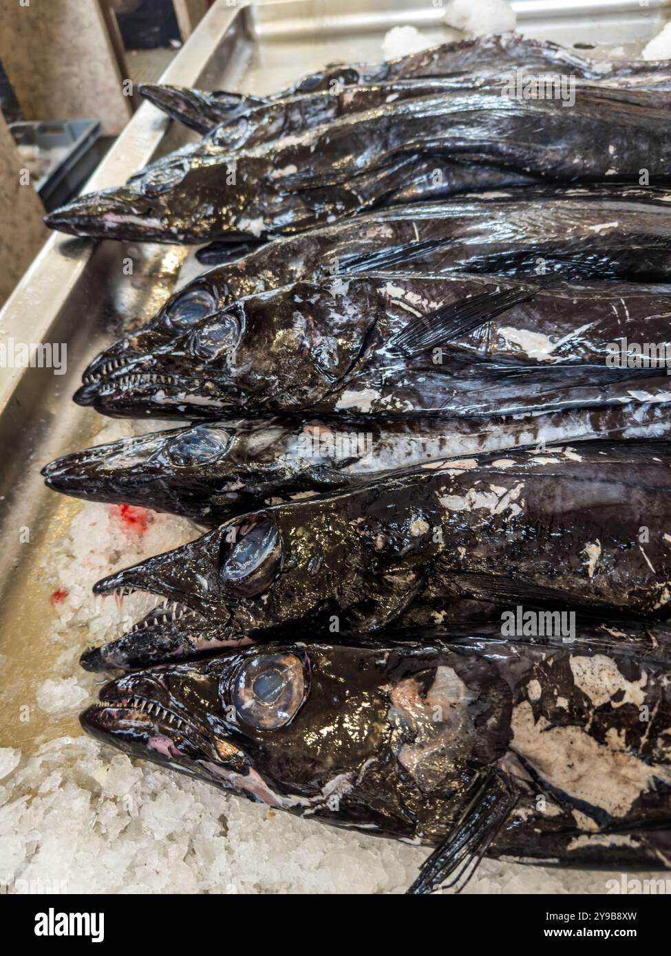 Black Scabbardfish for sale in the market hall Mercado dos Lavradores ...