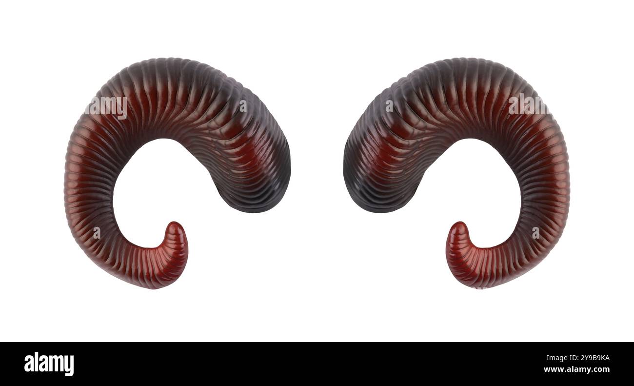 Long demon horns isolated on white background Stock Photo - Alamy