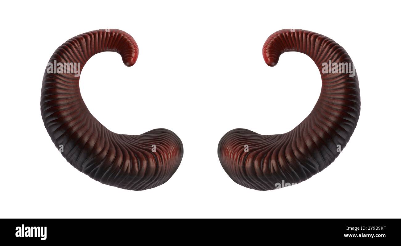 Long demon horns isolated on white background Stock Photo - Alamy