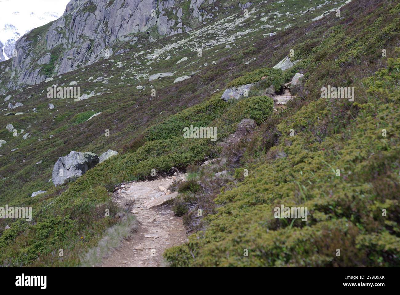 Alpine trail with mixed terrain hi-res stock photography and images - Alamy