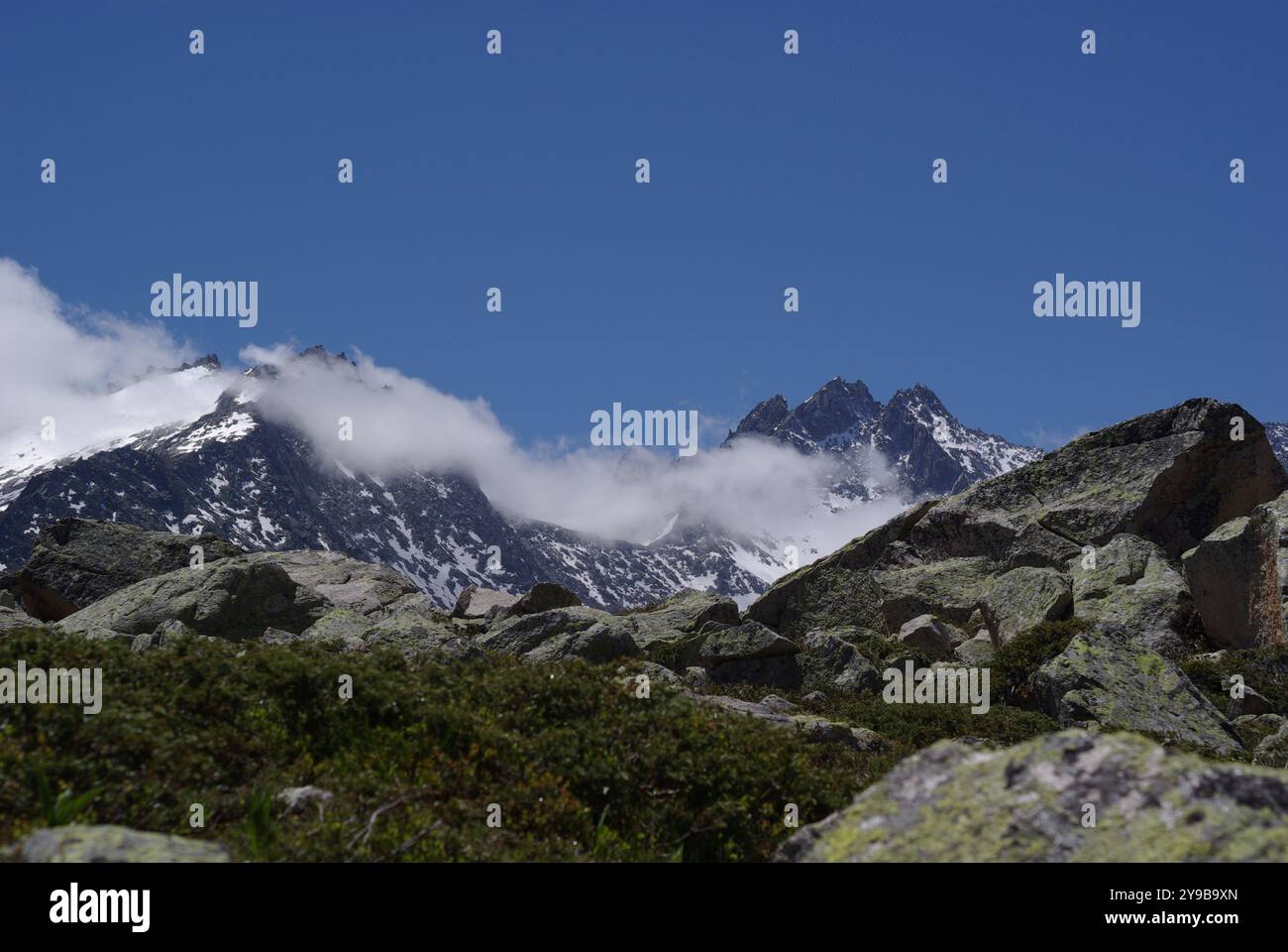 Alpine roses and misty glaciers hi-res stock photography and images - Alamy
