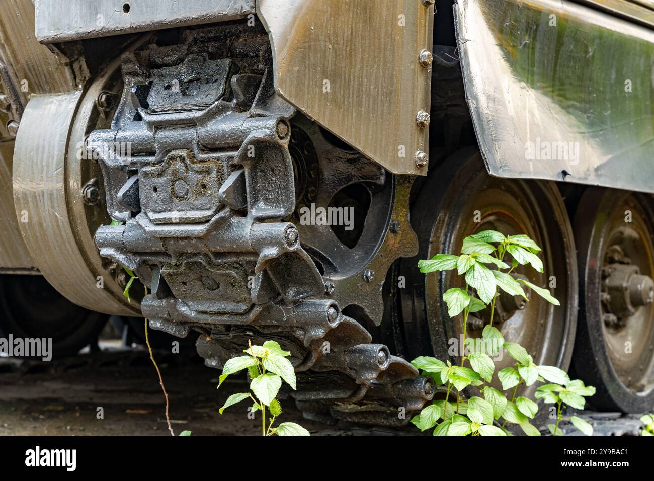 Old tank tracks with grass close up view in Vietnam Stock Photo - Alamy