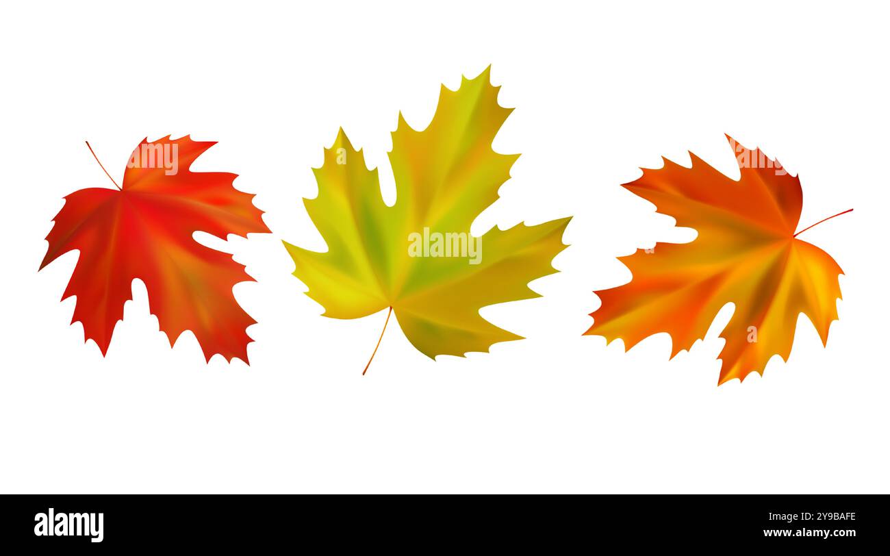 Border of realistic maple autumn leaves. Orange, yellow, red maple fall ...