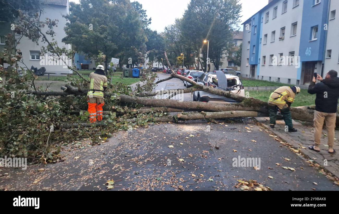 Bamberg, Germany. 10th Oct, 2024. The fire department removes a fallen ...