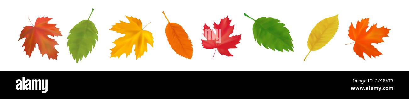 Border of realistic autumn leaves. Orange, yellow, red, green maple ...