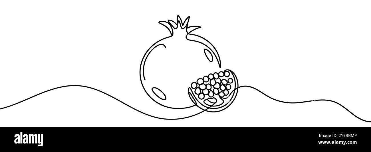 Continuous linear drawing of pomegranate. One line drawing garnet ...
