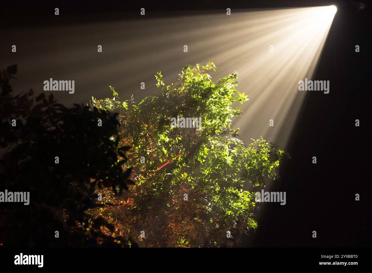 NOVA exhibit in Los Angeles, CA which tells the tragic story of what ...