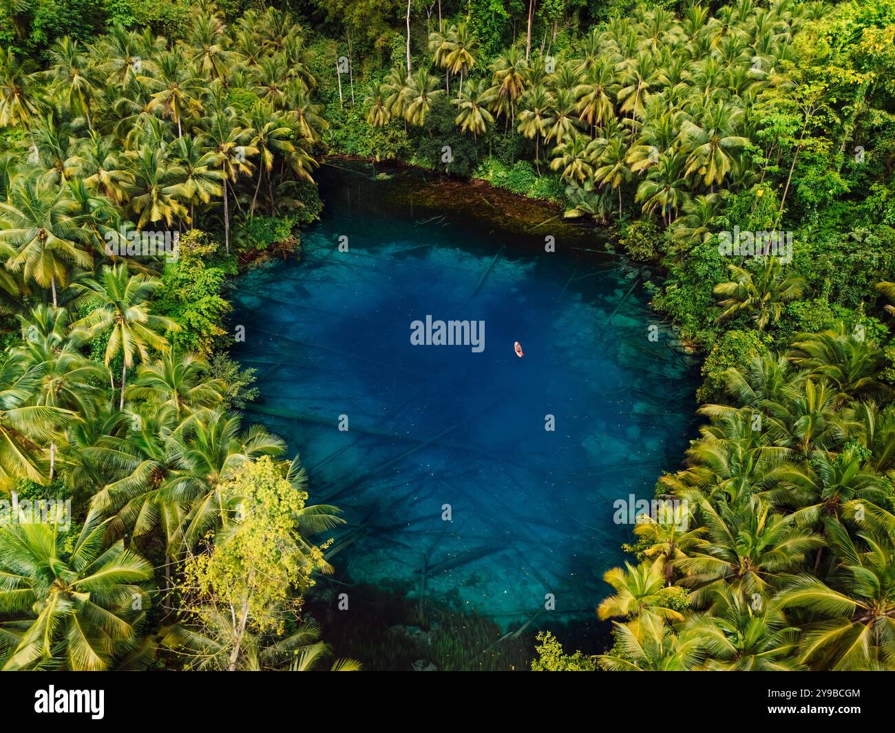 Tropical transparent lake with crystal blue fresh water in jungle ...