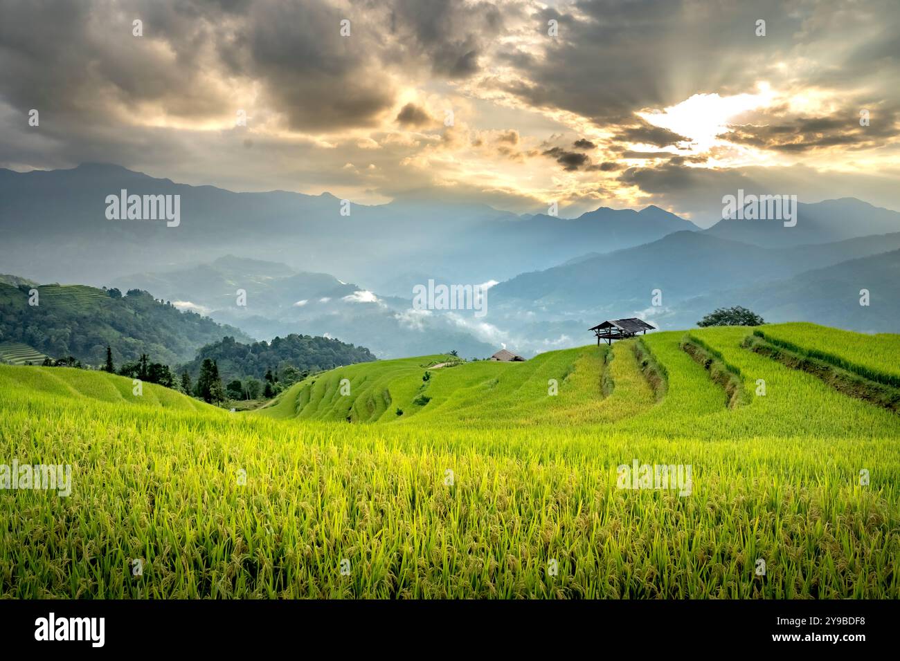 Nam hong hi-res stock photography and images - Alamy