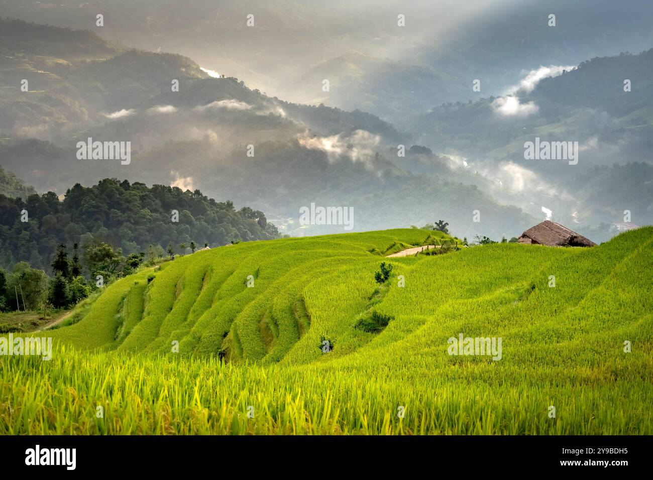 The beautiful scenery like heaven of Nam Hong village, Ha Giang ...