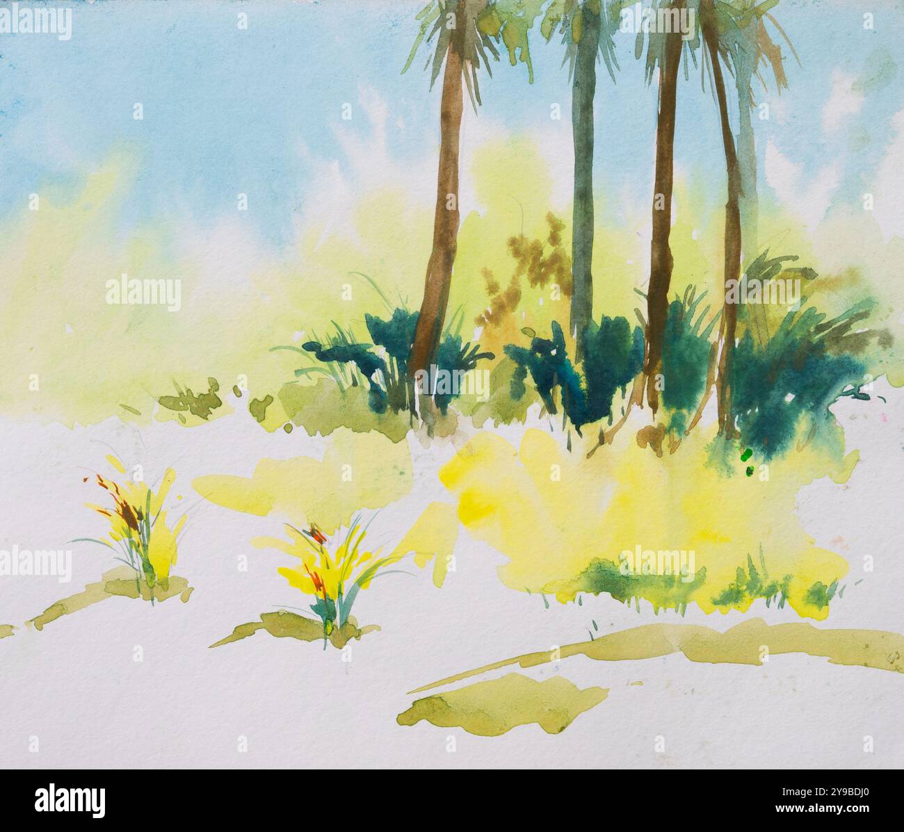 Nice watercolor painting four coconut trees. Indian hand painted ...