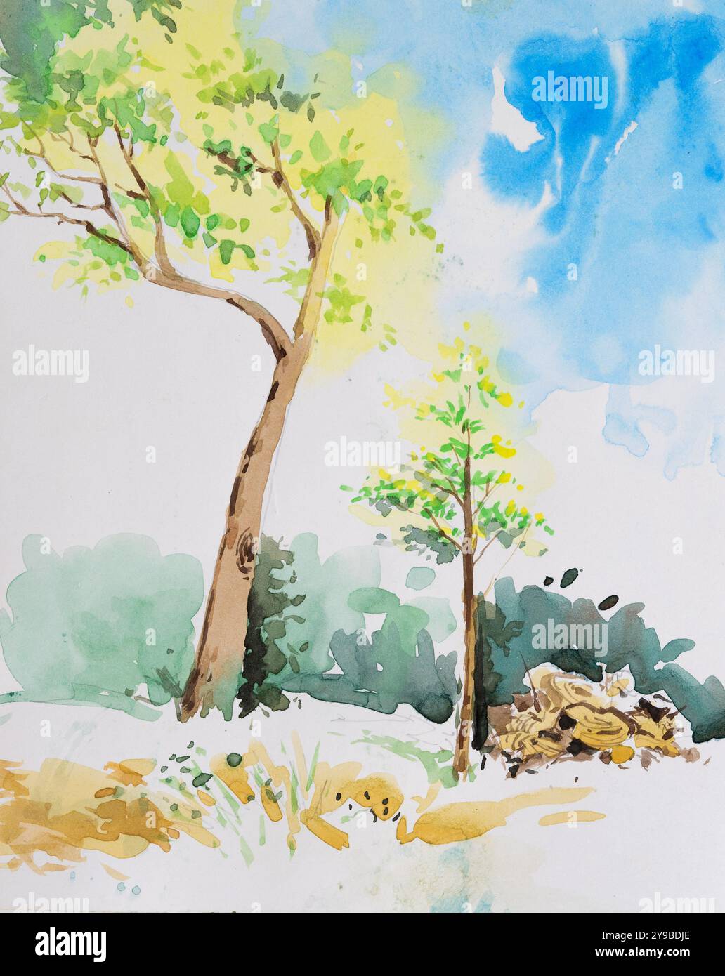 Beautiful scenery of a park. Bright daytime watercolor painting of sky ...