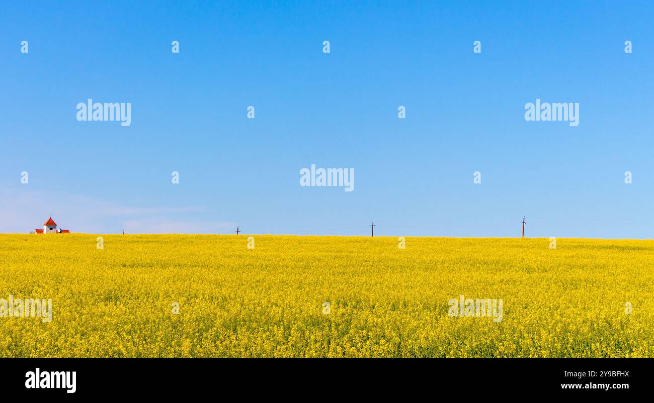Amazing springtime landscape in Ukraine with copy space. National ...