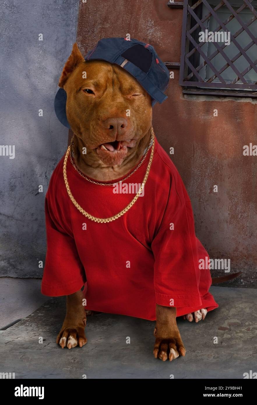 Red bull baseball cap hi-res stock photography and images - Alamy