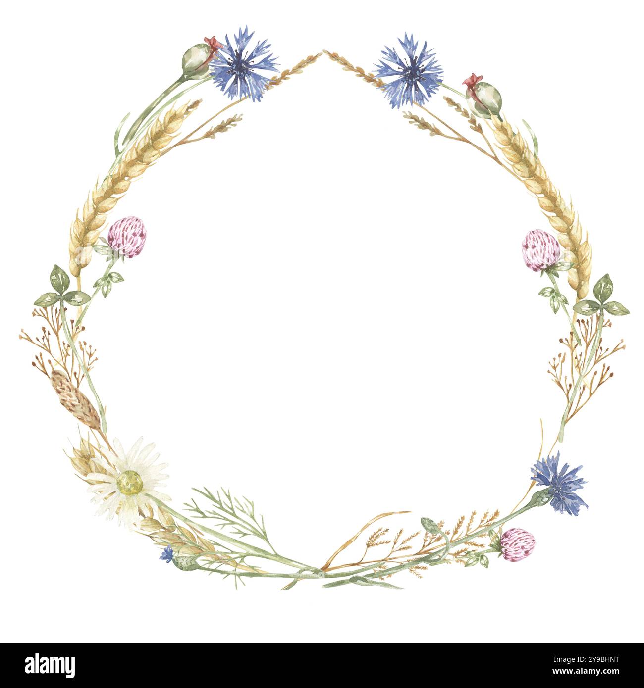 Watercolor hand drawn meadow flowers wreath illustration, graphic ...