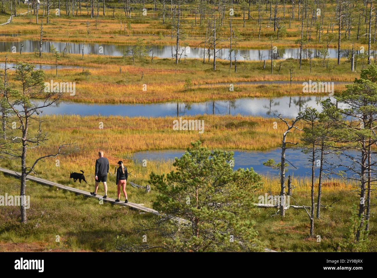 Hikers on pathway in Viru Bog in Lahemaa National Park, with bog ...