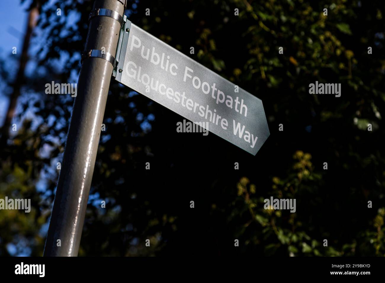 Gloucestershire Way fingerpost sign at Cannop Ponds Stock Photo - Alamy