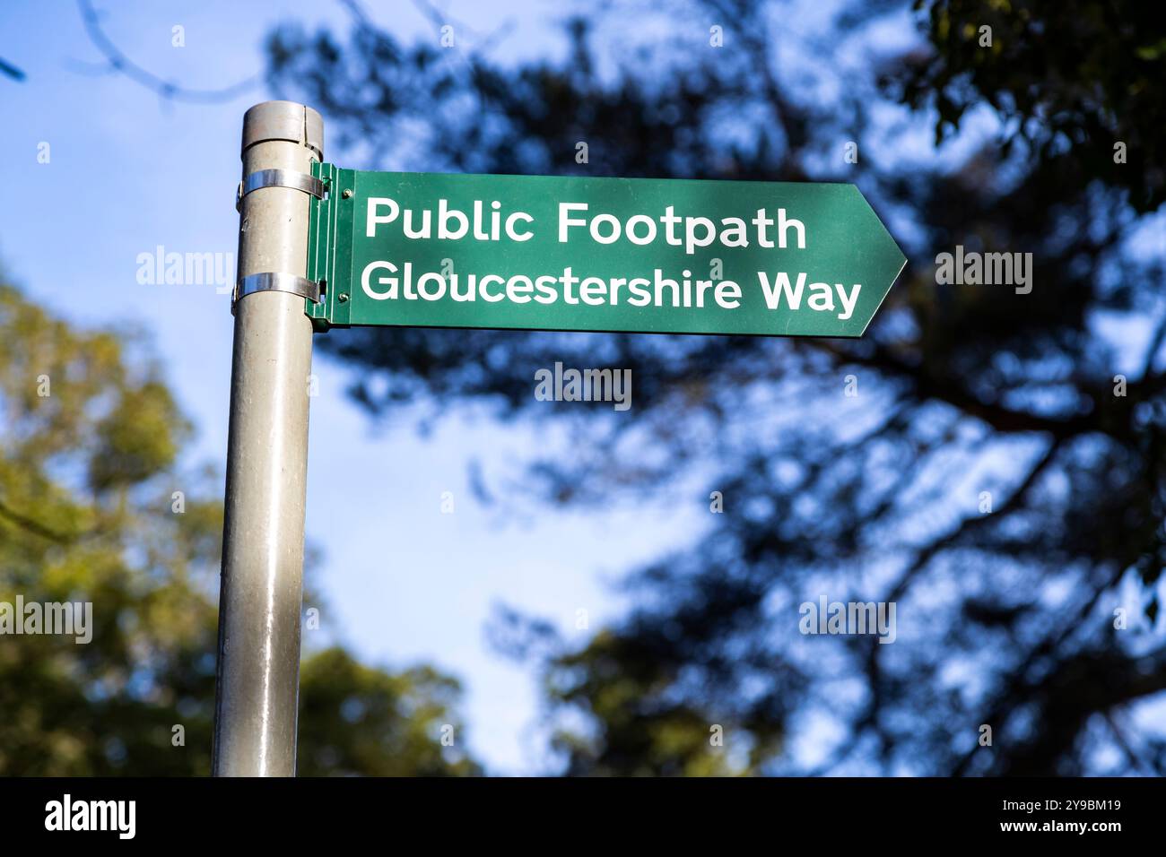 Gloucestershire Way fingerpost sign at Cannop Ponds Stock Photo - Alamy