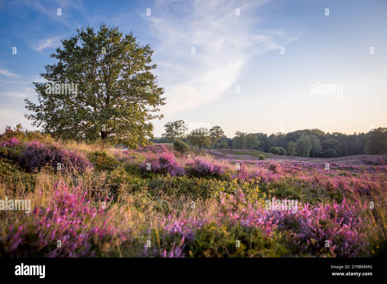 Nationaal landschap hi-res stock photography and images - Alamy