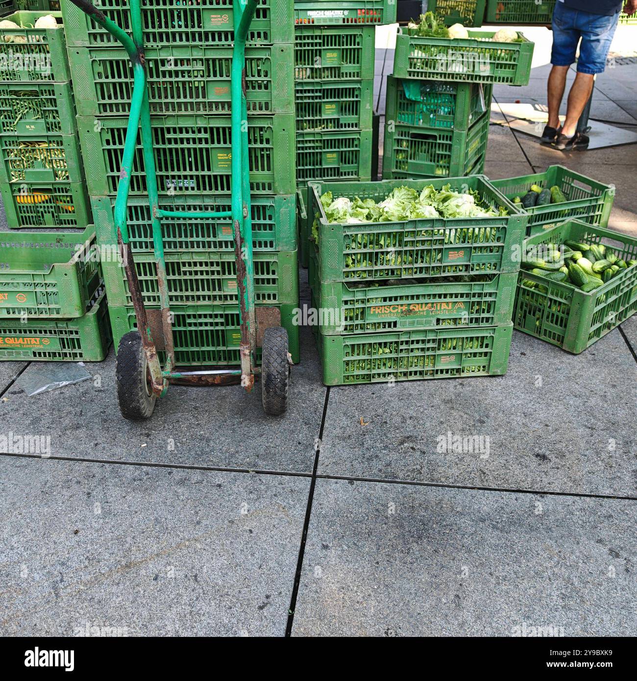 Logistics in crop production and plant cultivation, transport of ...