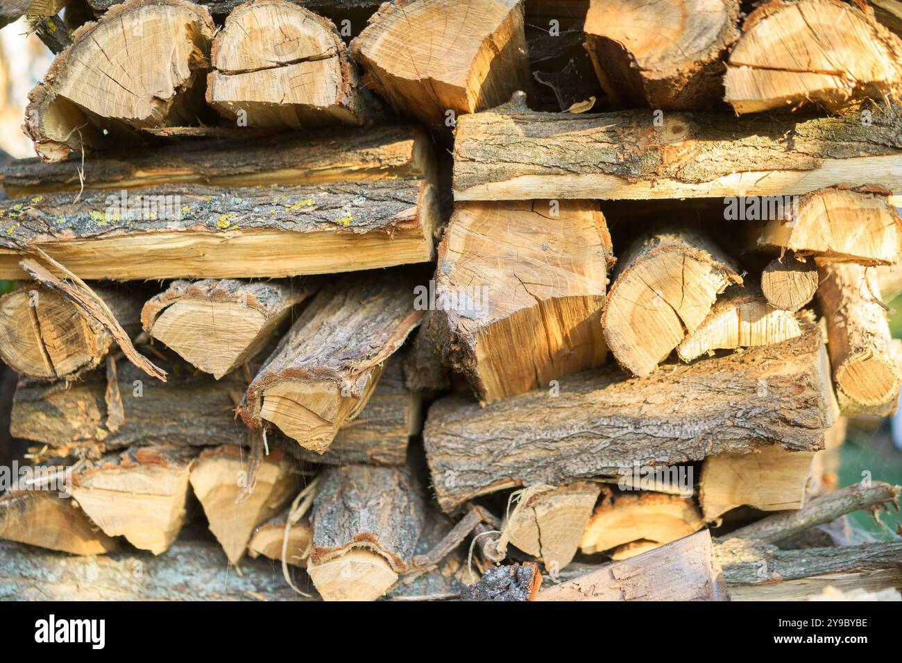 Logs of different sizes hi-res stock photography and images - Alamy