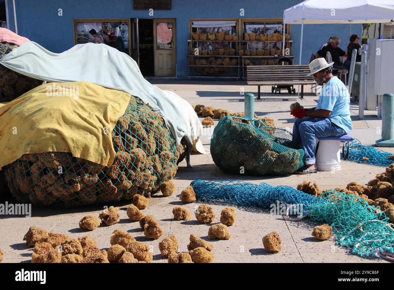 Tarpon Springs Sponge workers Stock Photo - Alamy