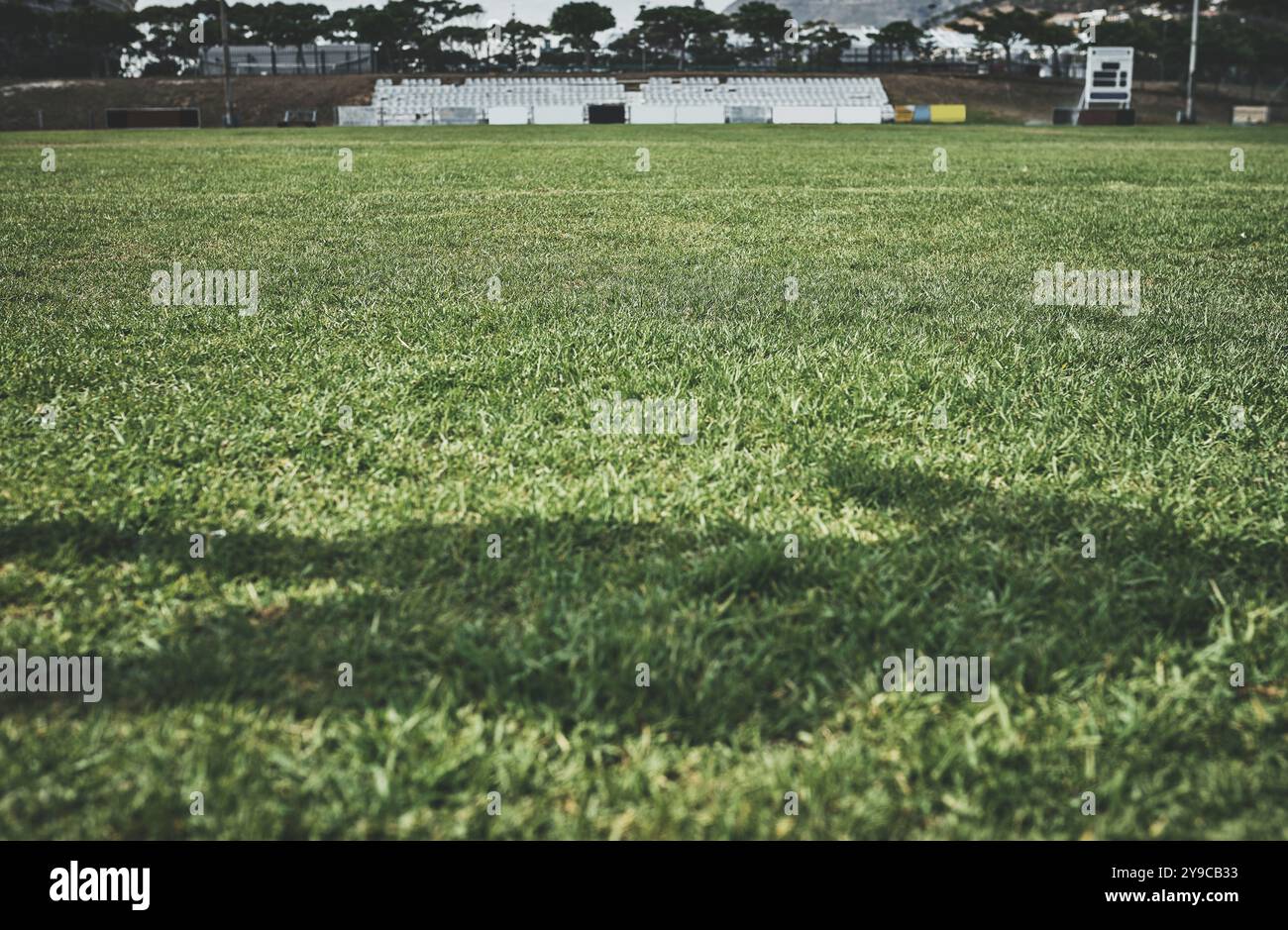 Field, sports and recreation facility with shadow, grass and landscape ...