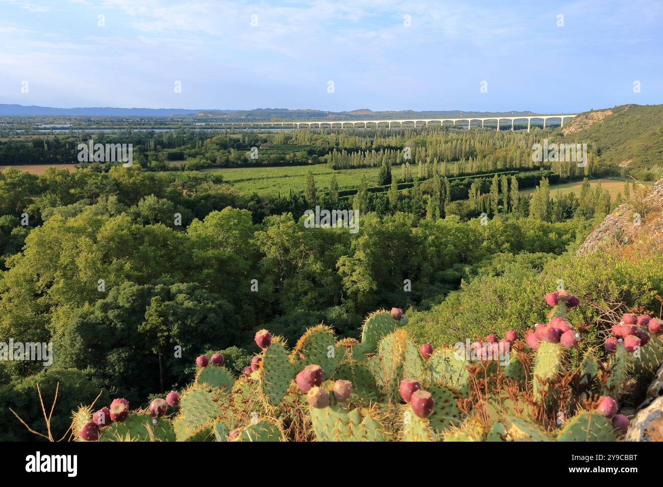 the Long bridge Viaduc Double Ferroviaire over the Rhone River for TGV ...